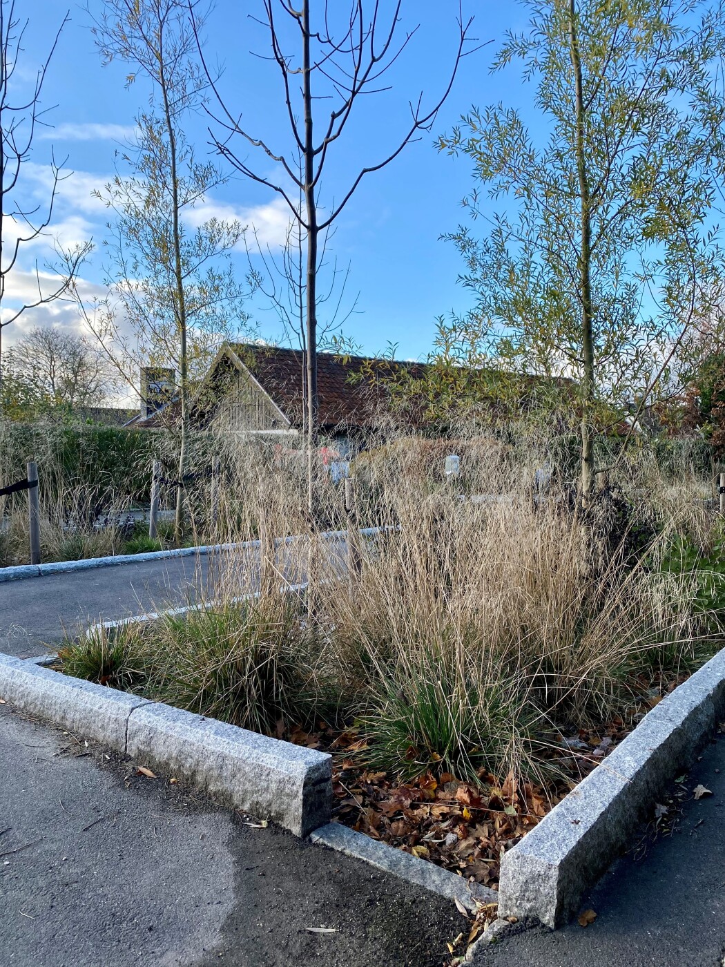 Det Holistiske LAR-Vejbed | Regnvandshåndtering, Hydraulik, Renseevne